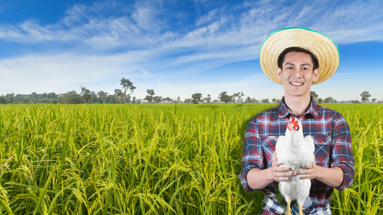 MAXIMA Microfinance | Financial services in Cambodia