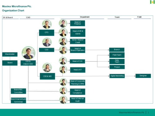 Organisational Chart | MAXIMA Microfinance